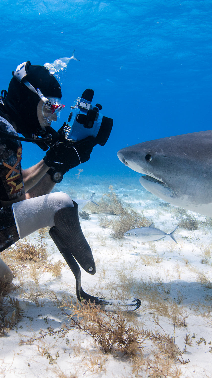 About Mike – Mike Coots